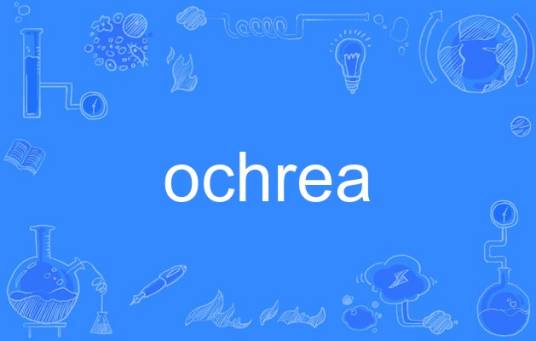ochrea（英语单词）_百度百科