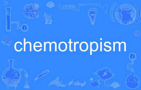 chemotropism_百度百科
