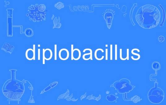 diplobacillus_百度百科