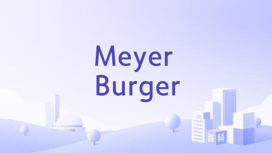 Meyer Burger_百度百科