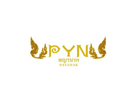 PYN PAYANAK_百度百科