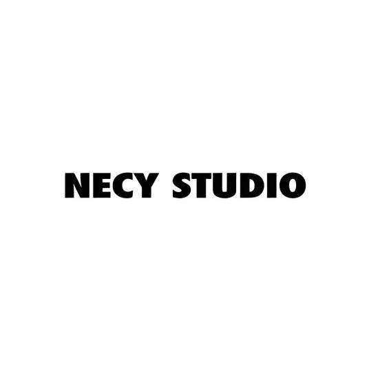 NECY女装旗舰店_百度百科