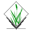 GRASS GIS_百度百科