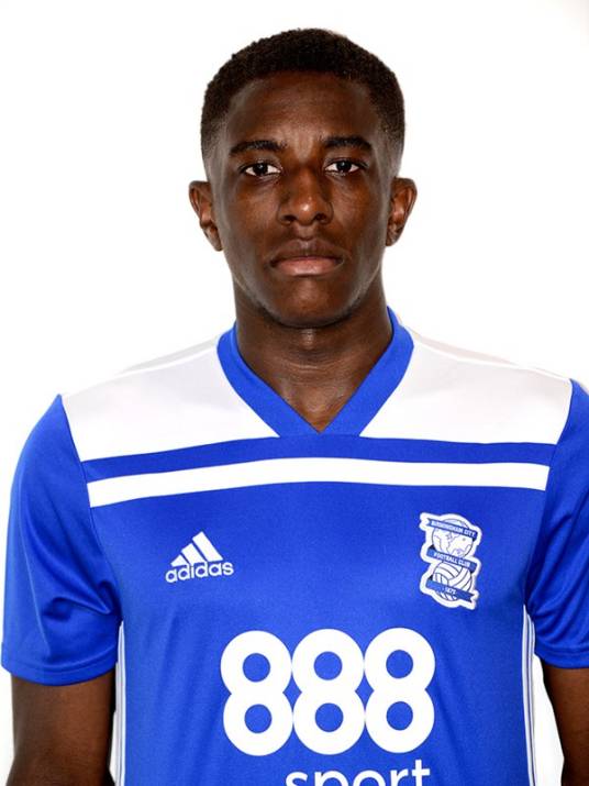 Wes Harding_百度百科