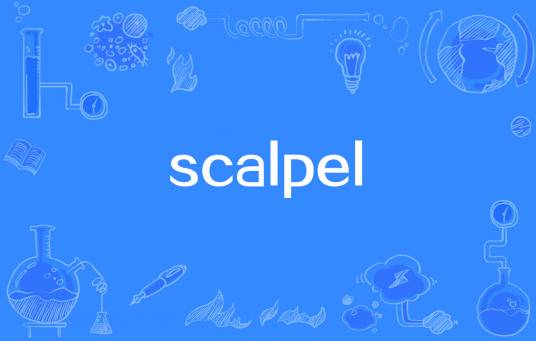 scalpel_百度百科