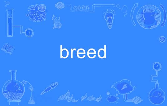 breed（英语单词）_百度百科