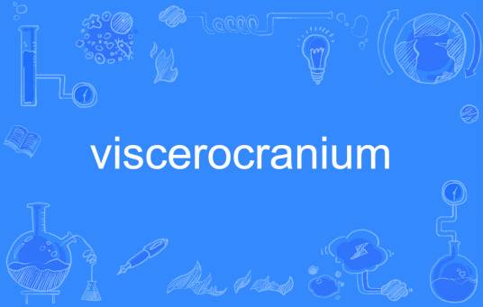 viscerocranium_百度百科