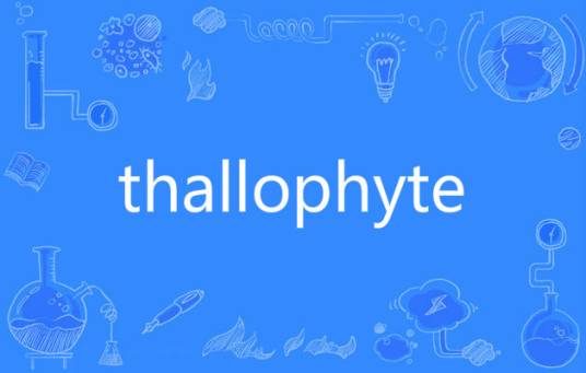 thallophyte_百度百科