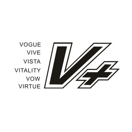 v+_百度百科