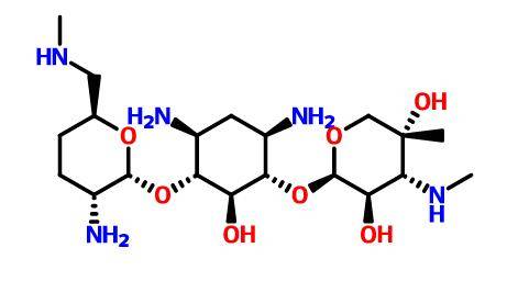 小诺霉素_百度百科
