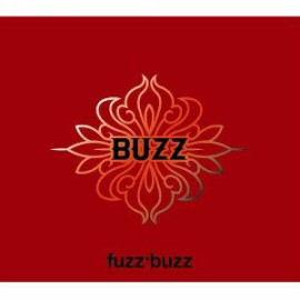 BUZZ（韩国视觉摇滚乐团）_百度百科