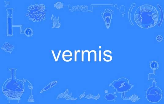 vermis_百度百科