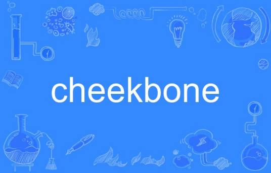 cheekbone_百度百科
