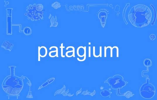 patagium_百度百科