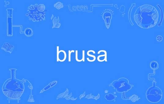 brusa_百度百科