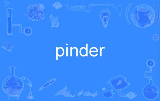 pinder_百度百科