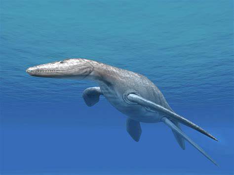 扁鼻强龙属_百度百科