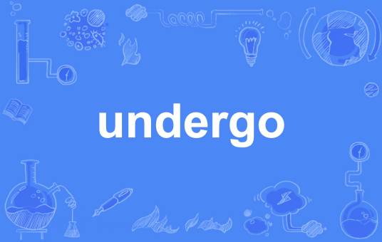 undergo_百度百科