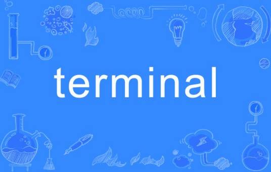 Terminal（英文单词）_百度百科