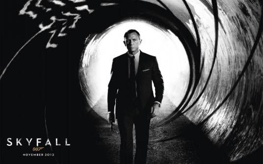 Skyfall（一款角色扮演类的网络游戏）_百度百科