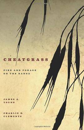Cheatgrass_百度百科