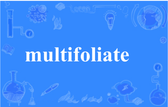 multifoliate_百度百科