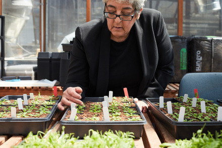 Joanne Chory_百度百科