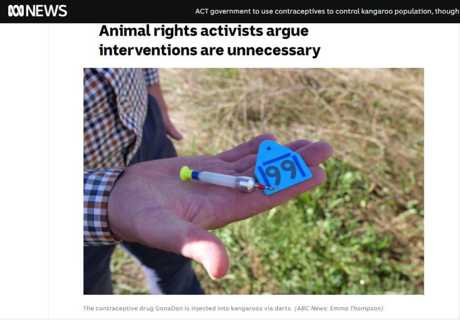 时隔86年再次杀人，从国宝到“杀手”，澳洲袋鼠有点猛！_百科TA说