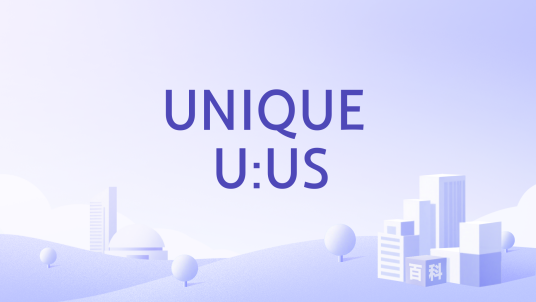 UNIQUE U:US_百度百科