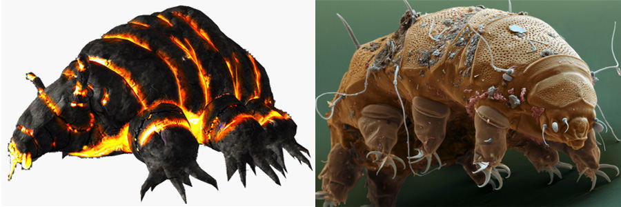 评《恶魔之魂 Demon's Souls》_百科TA说