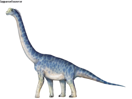 拉伯龙属_百度百科