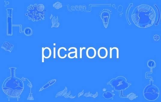 picaroon_百度百科