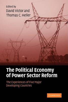 The Political Economy of Power Sector Reform_百度百科