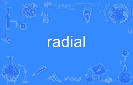radial（英语单词）_百度百科
