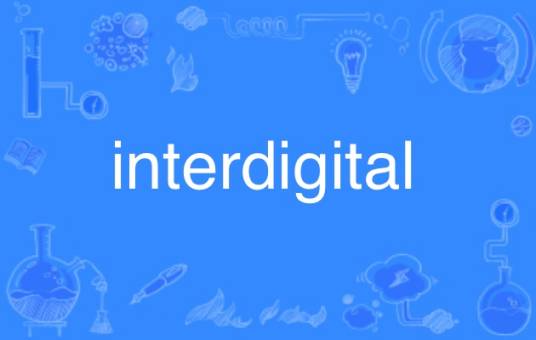 interdigital_百度百科