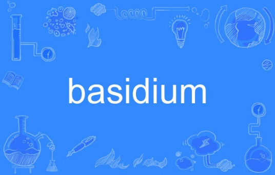 basidium_百度百科