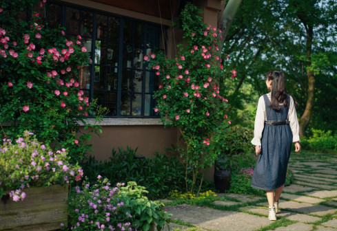 十里芳菲 ALOR VALLEY_百度百科