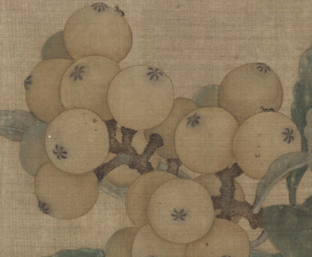 枇杷山鸟图（南宋林椿创作绢本设色画）_百度百科