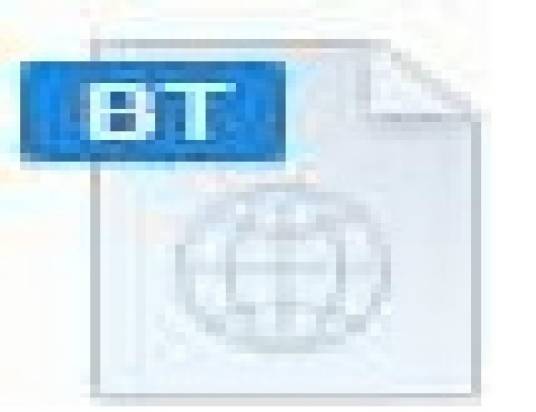 BT种子_百度百科