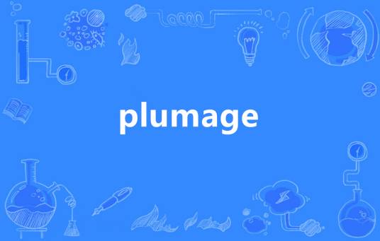 Plumage（英语单词）_百度百科