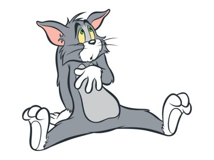 汤姆（动画片《猫和老鼠》及其衍生作品中的主角之一）_百度百科