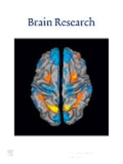 BRAIN RESEARCH_百度百科