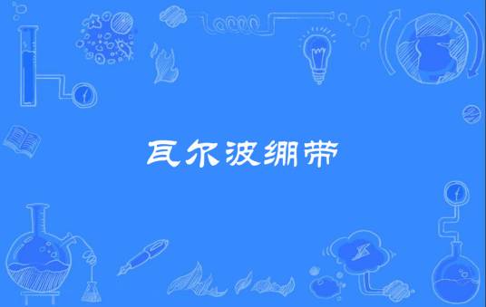 瓦尔波绷带_百度百科