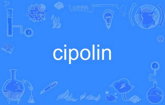 cipolin_百度百科