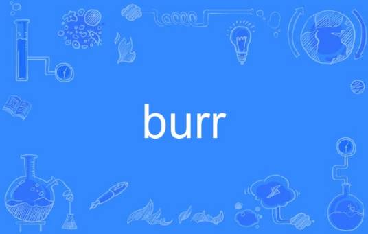 burr_百度百科