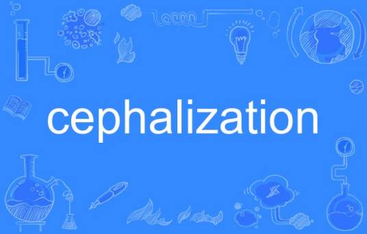 cephalization_百度百科