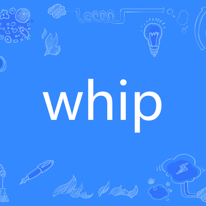 whip（英文单词）_百度百科