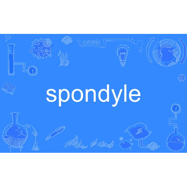spondyle_百度百科