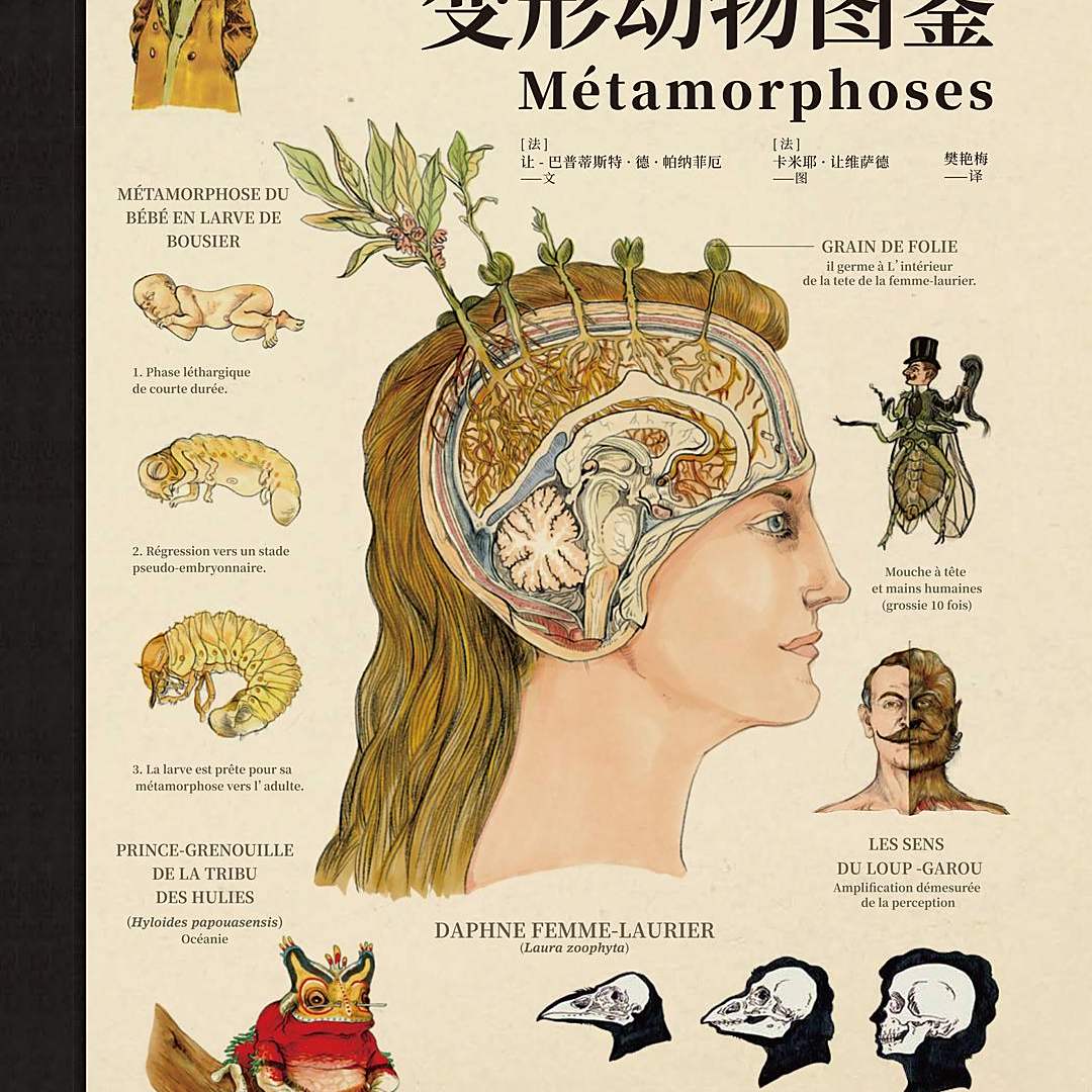 超自然变形动物图鉴_百度百科