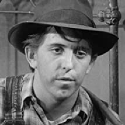 Rodney Dillard_百度百科